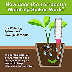 10 Pack Plant Watering Devices, DeeCoo Self Watering Spikes, Plant Waterer Self Watering Terracotta Spikes Automatically Water Your Indoor and Outdoor Plants While On Vacation