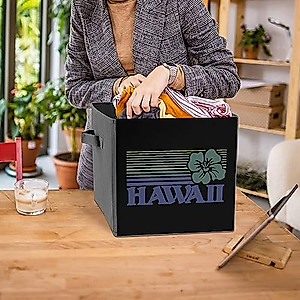Hawaii Storage Bins with Handles Cube Closet Organizers and Storage Boxes Folding Basket for Shelves 2PCS