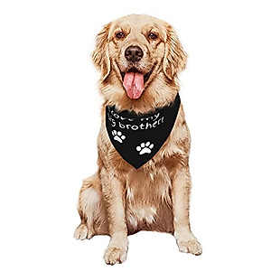 vercosee Big Brother Dog Bandana,Pregnancy Announcement Dog Bandana, Gender Reveal Photo Booth Props, Pet Scarf for Dog Lover Owner (i Love My Big Brother)