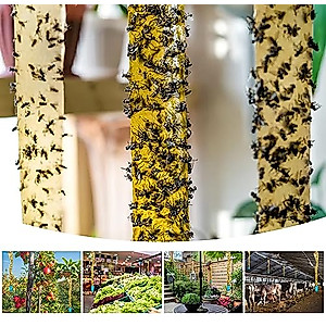 60 Pack Stable Fly Strips Indoor Outdoor Sticky Hanging Paper Tape, Ranch Indoor Fly Traps for Home, Fly Ribbon Hanging, Fly Traps Outdoor