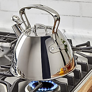 All-Clad Specialty Stainless Steel Tea Kettle 2 Quart Induction Pots and Pans, Cookware