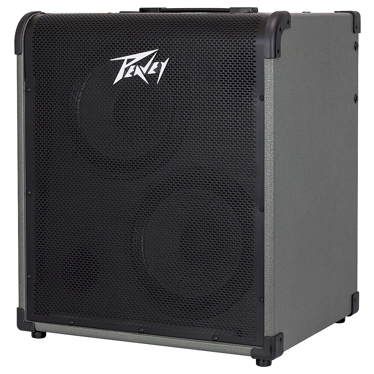 Peavey MAX 300 300-Watt Bass Amp Combo