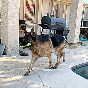 Jalousie 18 Pack Dog Squeaky Toys Cute Stuffed Pet Plush Toys Puppy Chew Toys for Small Medium Dog Puppy Pets - Bulk Dog Squeaky Toys