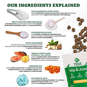 Doggie Dailies Glucosamine for Dogs - 120 Chews - Joint Supplement for Dogs of All Breeds & Sizes - Hip and Joint Supplement for Dogs - Premium Glucosamine and Chondroitin for Dogs (Chicken)