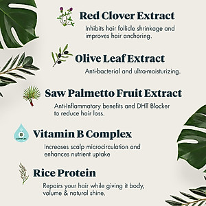 REVIV3 Procare 30 Day Trial Kit - 3-Part System for Fine and Thinning Hair - Sulfate and Paraben Free - Leave-In Hair Treatment Shampoo and Conditioner - Thinning Hair Treatment for Men and Women