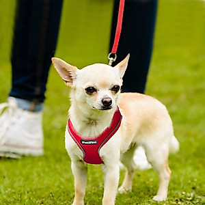 PetiFine Step in Small Dog Harness and Leash Set, Breathable All Weather Air Mesh Reflective Escape Proof, Step-in Vest Harnesses for Puppy(XS, Red)