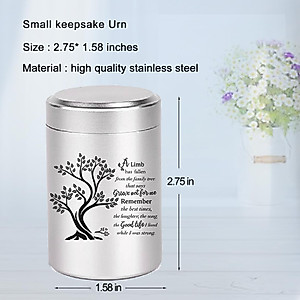 Small Urns for Human Ashes Set of 6 Mini Urn for Ashes 3 inches Keepsake Urns for Ashes for Sharing Small Keepsake Urns Memorial Ashes Holder