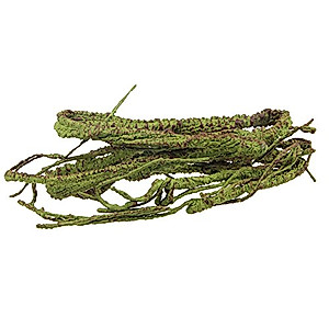 emours Flexible Realistic Jungle Vines Pet Habitat Decor for Lizard,Frogs, Snakes,Chameleons and More Reptiles, 3.6ft Long