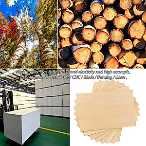 Unfinished Wood Pieces, Basswood Sheets Plywood Sheets for Crafts,Perfect for DIY Projects Painting Drawing Laser Wood Engraving Wood Burning and CNC Cutting (Yellow, 12in*8in*1/16in)