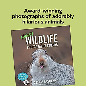 Comedy Wildlife 2021 Wall Calendar: (Funny Animal Monthly Calendar, Calendar with Photographs of Wild Animals Doing Funny Things)
