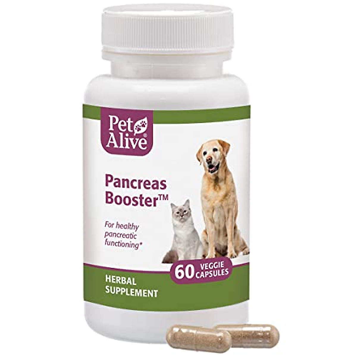 PetAlive Pancreas Booster - All Natural Herbal Supplement for Pancreatic Health and Digestive Functioning in Cats and Dogs - Supports Healthy Insulin Production - 60 Veggie Caps