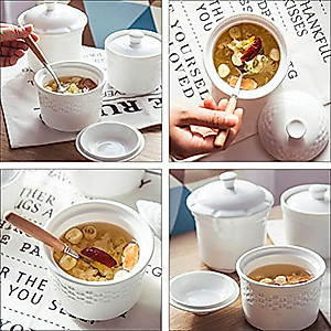 Operitacx Ceramic Stew Pot with Lid and Spoon Japanese Small Steam Soup Bowl Steaming Cup Serving Dish Seasoning Jar for Cereal Rice Chili Beef Stew Medicinal Birds Nest Egg Custard Appetizer