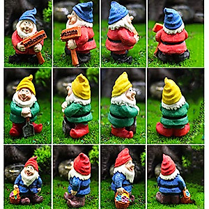 MAOMIA Miniature Gnome Figurines 6 Pcs Fairy Garden Gnome Statues Micro Landscape Decoration Plant Flower Pots Ornaments(Random 6