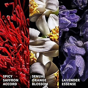 Yves Saint Laurent Libre Le Parfum 1 oz / 30 mL