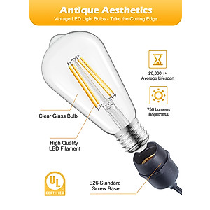 Brightown Vintage LED Edison Bulbs, 6W, Equivalent 60W, High Bright 2700K Warm White,750 Lumens, Non-Dimmable, E26 Medium Base ST58 Antique Filament Bulbs with 83+ CRI for Ceiling Fan Bathroom Porch