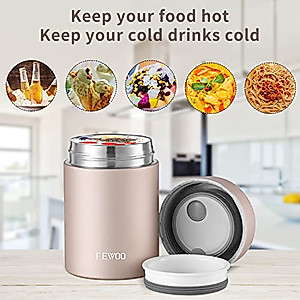 FEWOO Soup Thermos,Food Container for Hot Cold Food, Vacuum Insulated Stainless Steel Lunch Box for Kids Adult,Leak Proof Food Jar for School Office Picnic Travel Outdoors (Champaign Golden 13.5 oz)