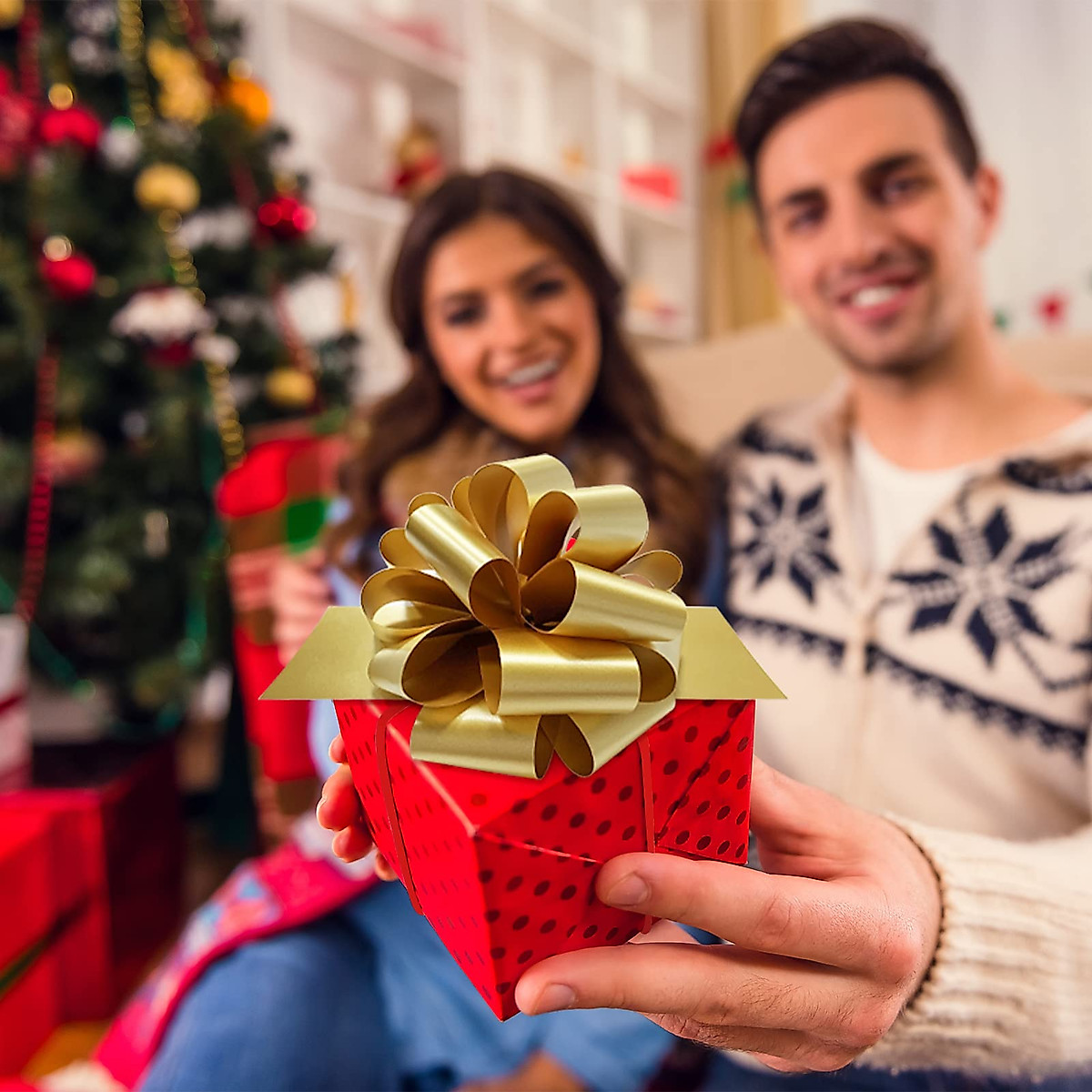 Christmas Gift Pull Bows Set in 24 Assorted Patterns, Present Wrapping Bows with Ribbon, Accessory for Holiday Gift Wine Bottles Book Decoration (Easy Assembly Needed) (24)