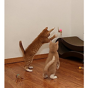 Bouncy Tails 5 Pack Interactive Bouncy Ball with Natural Feathers for Indoor Cats and Kittens who Love to Play and Have Fun.