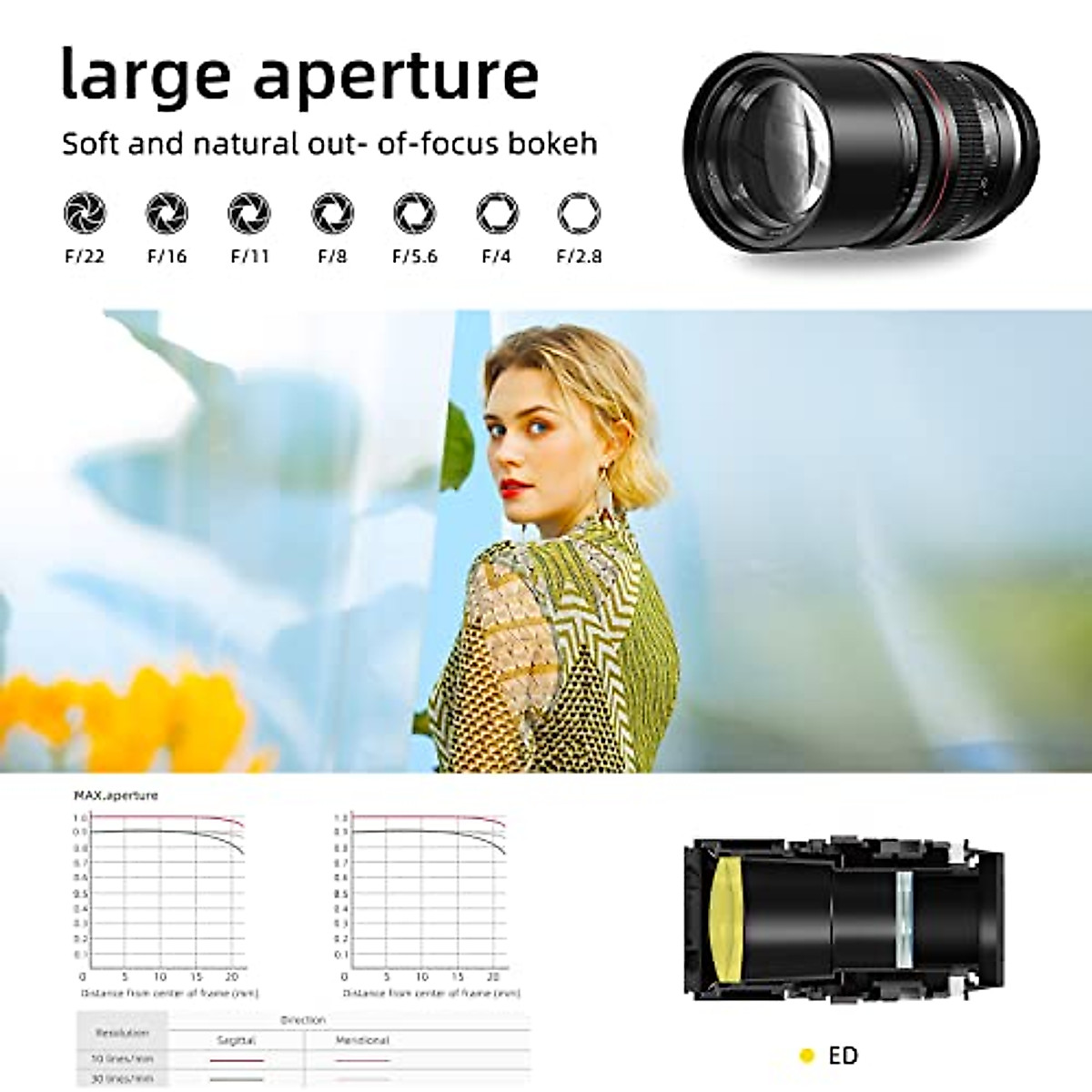Lightdow 135mm f/2.8 FE UMC Full Frame Telephoto Lens for Canon Rebel EOS 80D 77D 70D 60D 50D 7D 6D 5D 5DS 1DS T7i T7s T7 T6s T6i T6 T5i T5 T4i SL2 and SL1 Digital SLR Cameras Black