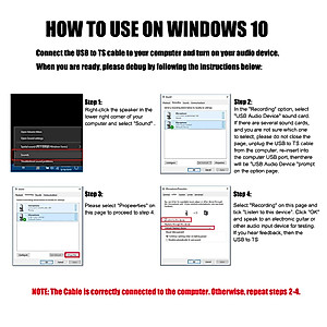 HOSONGIN USB Guitar Cable - USB Interface Male to 6.35mm 1/4" TS Mono Electric Guitar Converter Cable (10 Ft, Black)