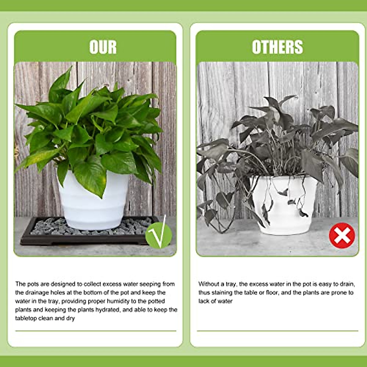 2 Pack Bonsai Humidity Tray 9 Inch Drip Tray Rectangular Plastic Plant ...