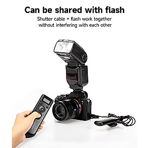 Wireless Digital Timer Remote Shutter Release Trigger Intervalometer for Canon EOS Rebel T6 T7 80D 70D 60D 60Da 77D T7i T6i T6s SL2 SL1 T5 T3 T5i T4i T3i T2i EOS R M6 M5 Cameras…