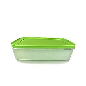 Tupperware A01 Igloo Box 1.0 L White Green 14168