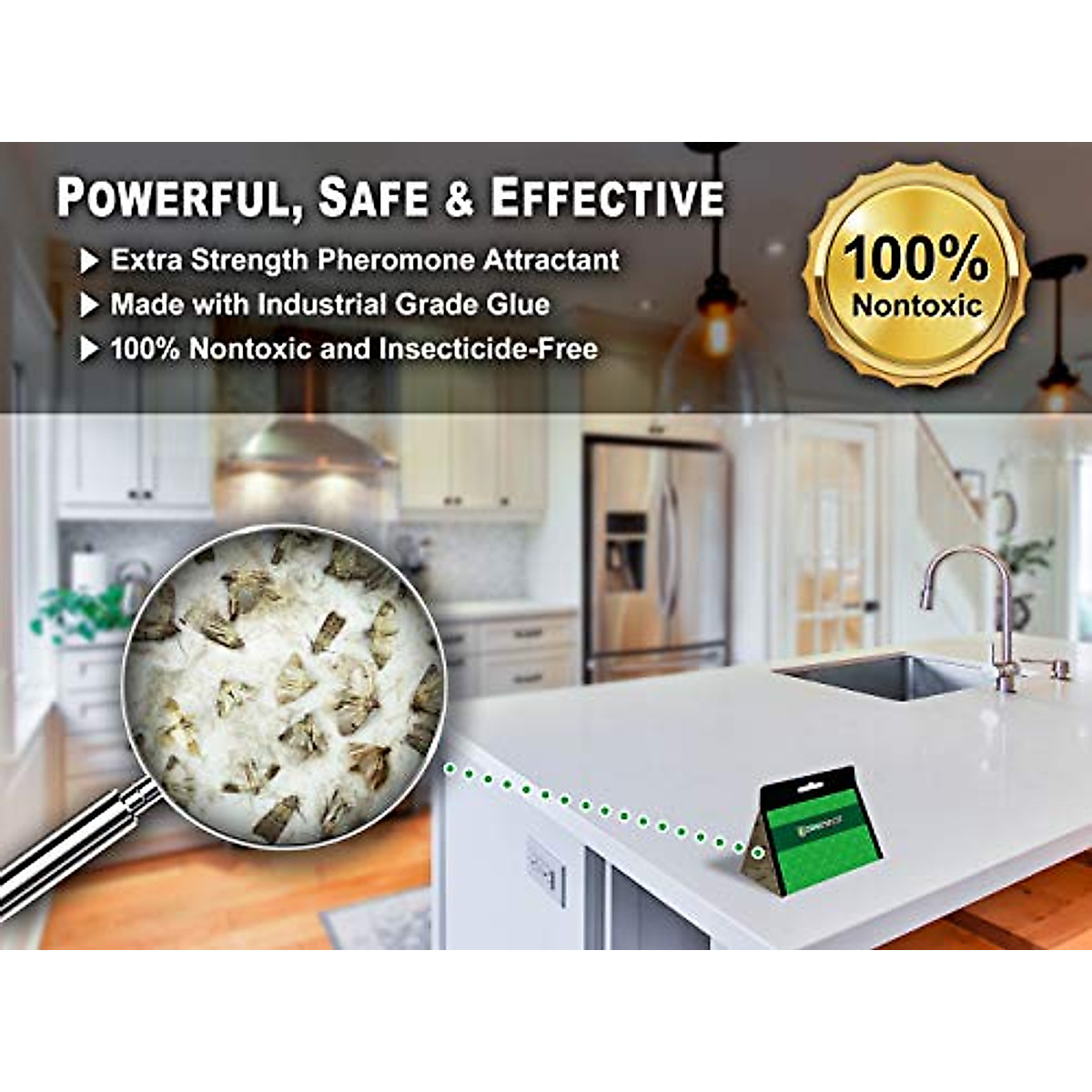 MaxGuard Pantry Moth Traps (24 Pack) with Extra Strength Pheromones | Non-Toxic Sticky Glue Trap for Food and Cupboard Moths in Your Kitchen | Trap and Kill Seed Grain Flour Meal Moths Pests |