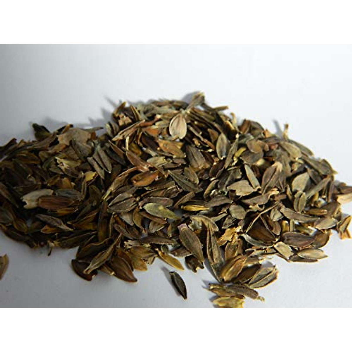 Flower Seeds - Zinnia - California Giant Mix - Best Cut Flowers - Liliana's Garden