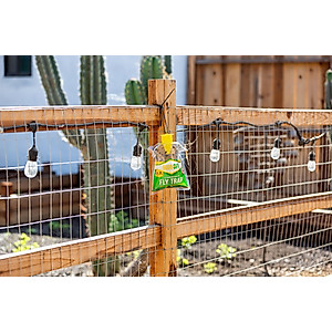 Bugg Off - 4 Pack Outdoor Disposabe Hanging Fly Traps with Natural Pre-Bait, Catches Flyes Everywhere Anywhere, Stables, Ranches, Cottages and More. Cut, Fill, and Hang!