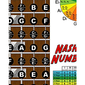 Laminated 6 String Bass Fretboard Notes Chart Nashville Number System & Circle of 5ths Easy Instructional Poster for Beginner for Notebook - A New Song Music 8.5 x 11