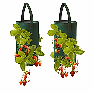 Pri Gardens Hanging Strawberry Planter for Strawberry Bare Root Plants (Roots not Included) Felt Material 2 Pack