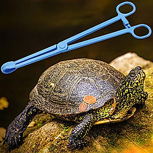 MACGOAL Reptile Feeding Clip Tongs Plastic Terrarium Lizards Turtles Reptile Tweezers Reptile Feeding Tool 9.45 Inches