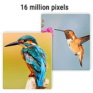 Digital Camera 16MP 2.4 Inch LCD Screen 16X Digital Zoom 720P Digital Camera Small Camera for Teens Students Boys Girls Seniors Perfect for Festivals and Birthday Gift (Black) (Black)