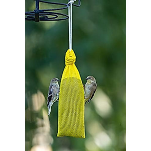 Mr. Canary Yellow 'Pair of Socks' Finch Sock Feeders, 2pk, Seed-Filled All-Season Feeders, 24oz Total