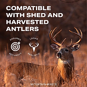 Mountain Mikes Black Forest Antler Mounting Kit - Traditional Half-Skull Deer Mounting Kit - Compatible with Harvested and Shed Antlers - Universal Rustic Home Decor Inspired by The Great Outdoors