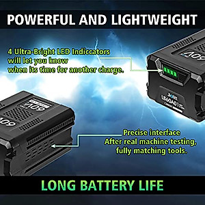 Jialitt 60V 5.0Ah Replacement for Greenworks Pro 60V Battery Max Lithium Ion LB60A00 LB60A01 LB60A02 LB60A03(Not for Kobalt&Powerworks)