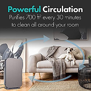 Alen BreatheSmart FLEX HEPA Air Purifier, Medical Grade Filtration H13 True HEPA for 700 SqFt, 99.9% Airborne Particle Removal, Air Purifier for Allergens, Dust, Mold, Heavy Odors, (Graphite)