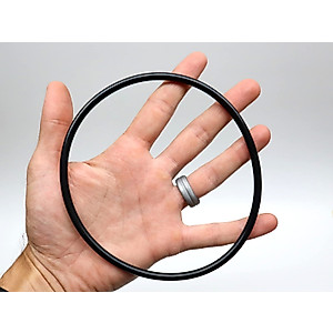 Captain O-Ring Replacement P6119 (P6119ASS16) O-Ring for Bestway Flowclear Pump Filter Cap Cover (2 Pack) [See Details for Compatible Filter Models]