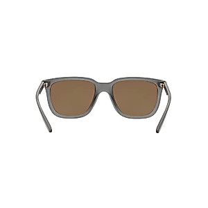 Arnette Men's AN4306 Plaka Square Sunglasses, Transparent Grey/Mirrored Yellow Gold, 54 mm
