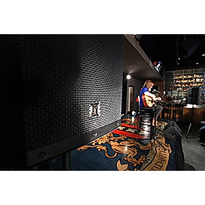 Electro Voice ZLX12 12" 2-Way 1000W Full Range Passive Loudspeaker