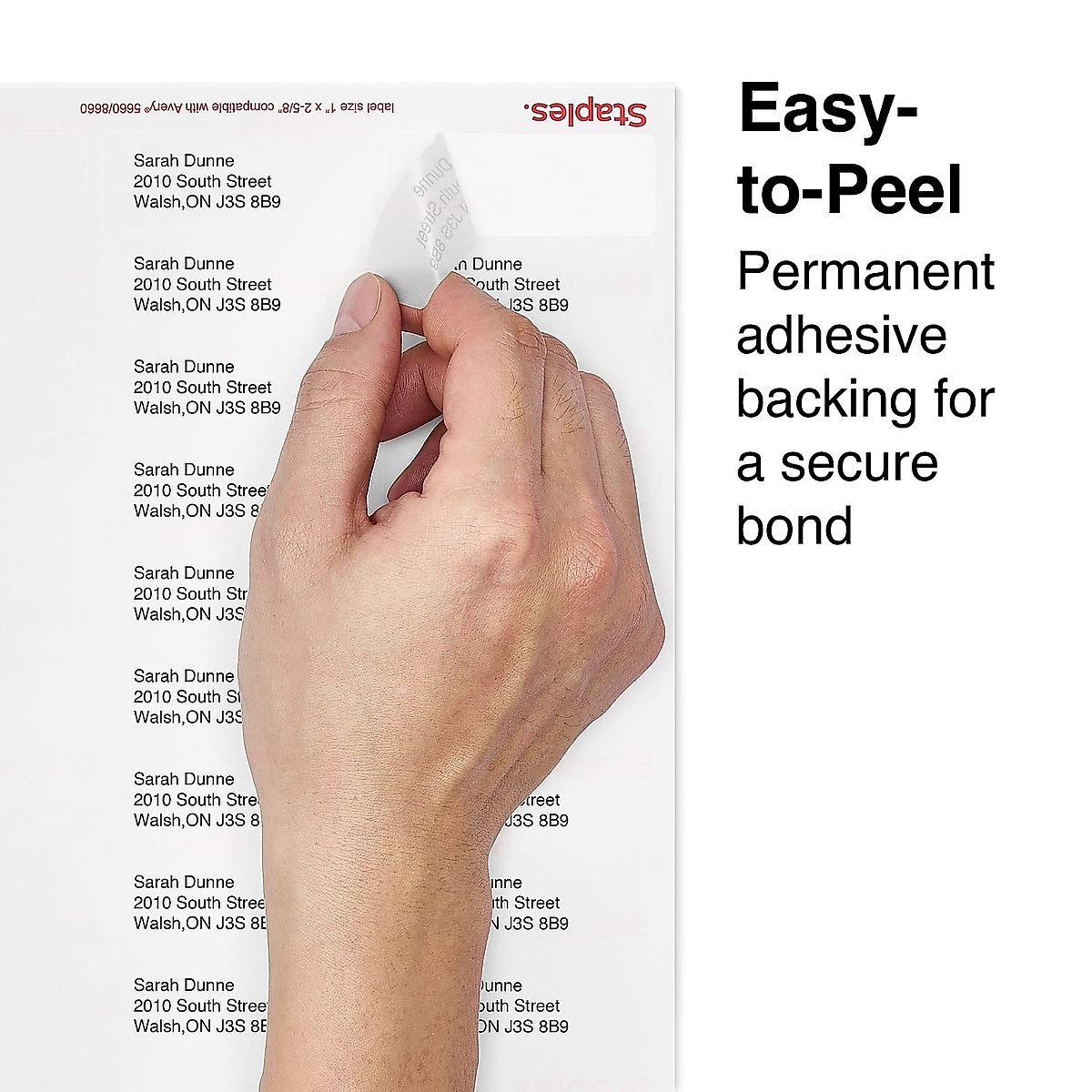 Staples 573950 Laser/Inkjet Address Labels 1-Inch x 2 5/8-Inch Clear 30 Labels/Sheet