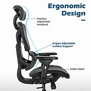 OUTFINE Back Height Adjustable High Back Mesh Chair, Adjustable Chair Back 3 Level Lock Function, 2D Adjustable Armrest, Adjustable Headrest and Adjustable Lumbar Support, Tilt, 300LBS