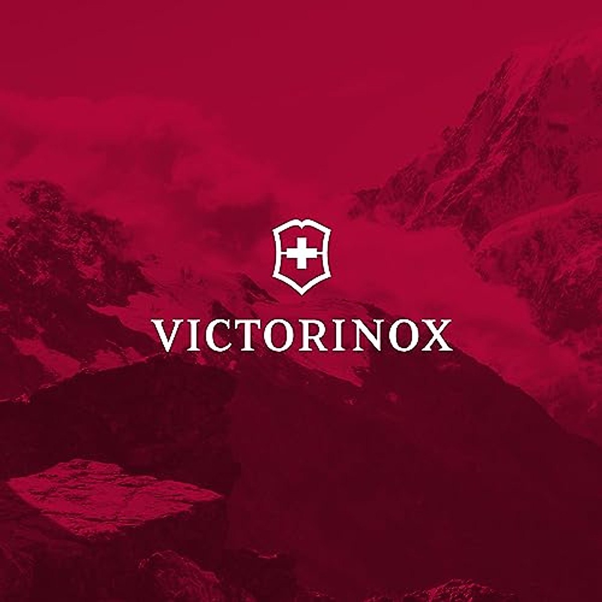 Victorinox Altmont Original Deluxe Laptop Backpack with Waist Strap in Black