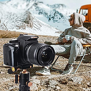 Bestshoot Tripod Head, Flexi-Tilt Universal Ball Head with Quick Release Plate, 1/4 Screw for DSLR Camera, Video Camcorder, Cellphone/Pad, Mirrorless Cameras, Ring Light, Selfie