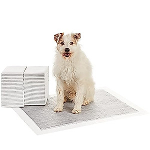 Amazon Basics Odor-Control Carbon Dog and Puppy Training Pads, Leakproof 5-Layer Pee Pads for Potty Training, XL, 28 x 34 Inches, Pack of 50, Gray