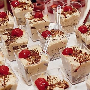 1000 PCS Mini Clear Tasting Spoons Plastic Sampling Spoons Pudding Taster Spoons for Jelly Yogurt Ice Cream Cake Dessert Spices Food Appetizer Supplies, 2.95 x 0.79Inch