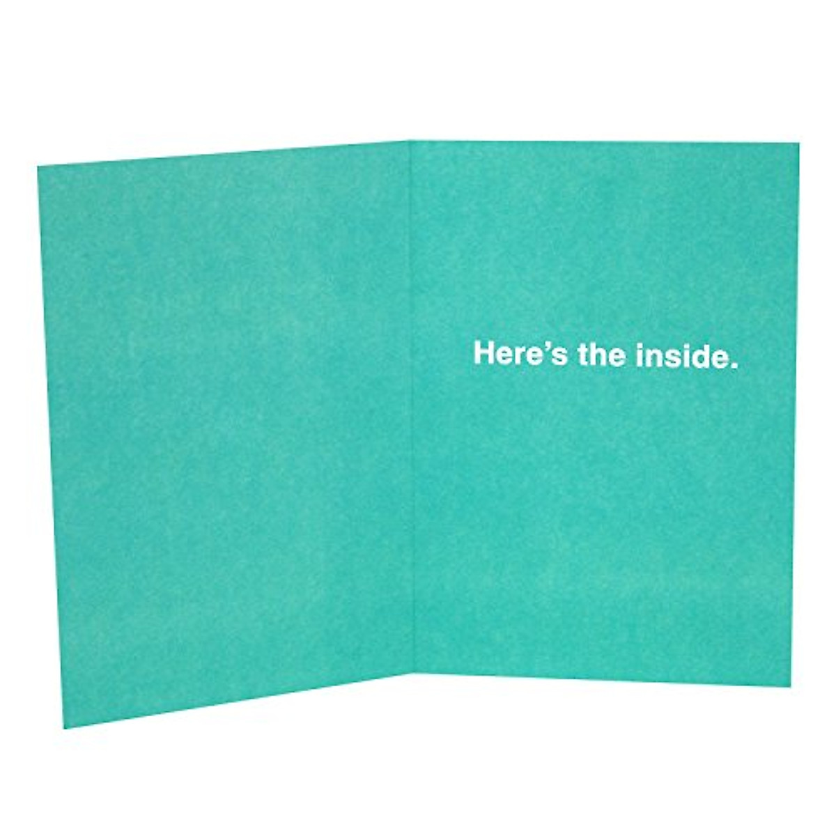 Hallmark 349RZF1006 Shoebox Funny Birthday Card