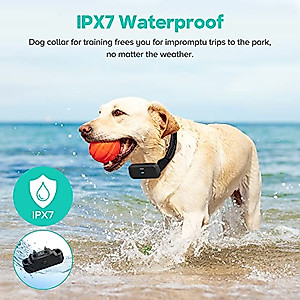 Dog Training Collar with Remote, Shock Collar for Dogs with Vibration and Beep Modes, Rechargeable Transmitter with Security Lock, Waterproof Collar, 99 Adjustable Levels – All Breeds, Sizes