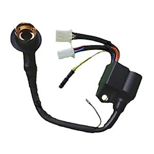 HEPENG Ignition coil for Pulsar PG2000iS iPower A-iPower SUA2000i Wen Power 56203i 1600 2000 Watt Inverter Generator Ignition Coil Module